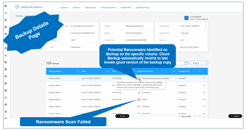 Cloud Backup: DataLock and Ransomware Protection Support - NetApp Community