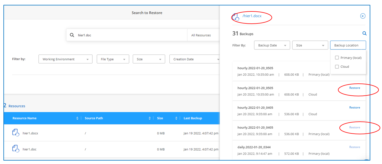 Cloud Backup Service Feature Blog: August '22 Updates - NetApp Community