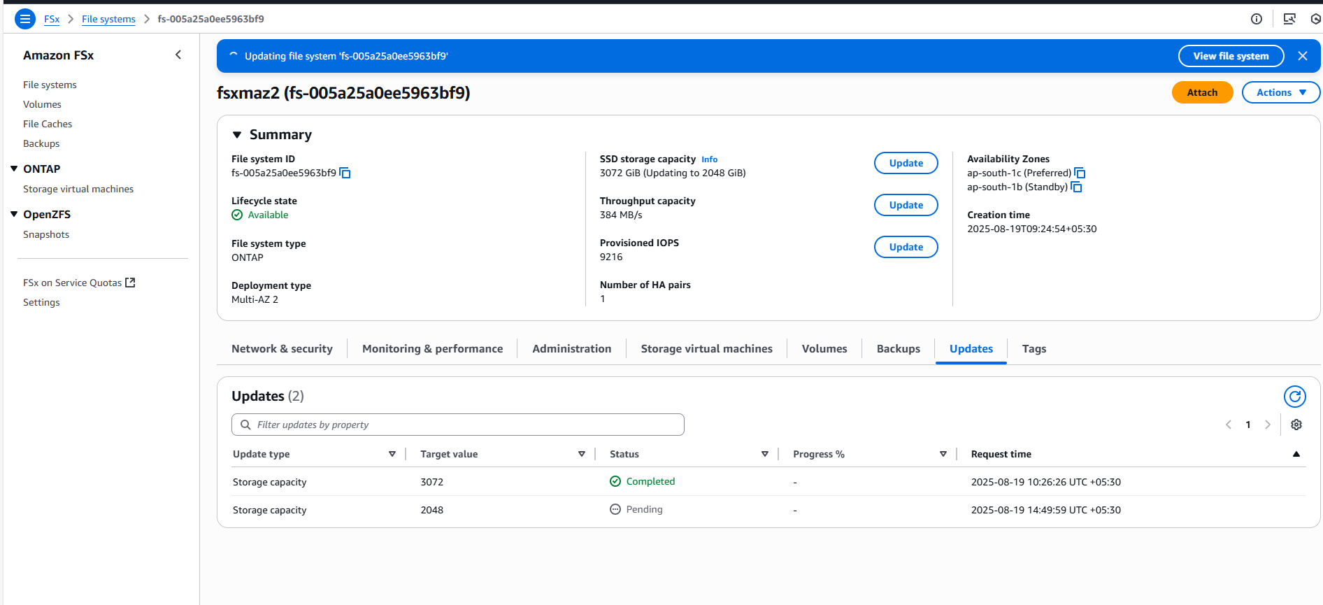 Decreasing SSD storage capacity provisioned on Amazon FSx for NetApp ...